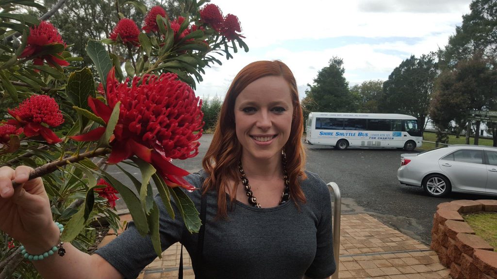 History of Sublime Point and History of Bulli Tops